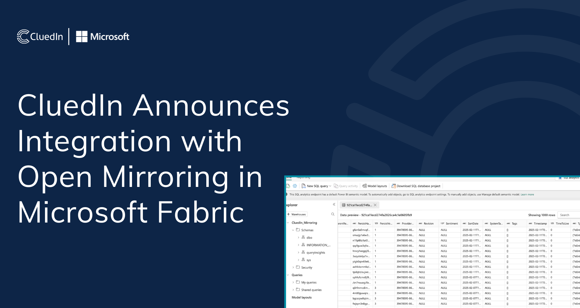 CluedIn Announces Integration with Open Mirroring in Microsoft Fabric